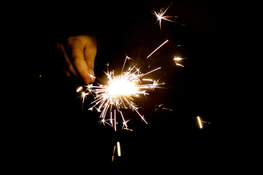 รูปภาพSquib – เลือกดูภาพถ่ายสต็อก เวกเตอร์ และวิดีโอ1,362 | Adobe Stock