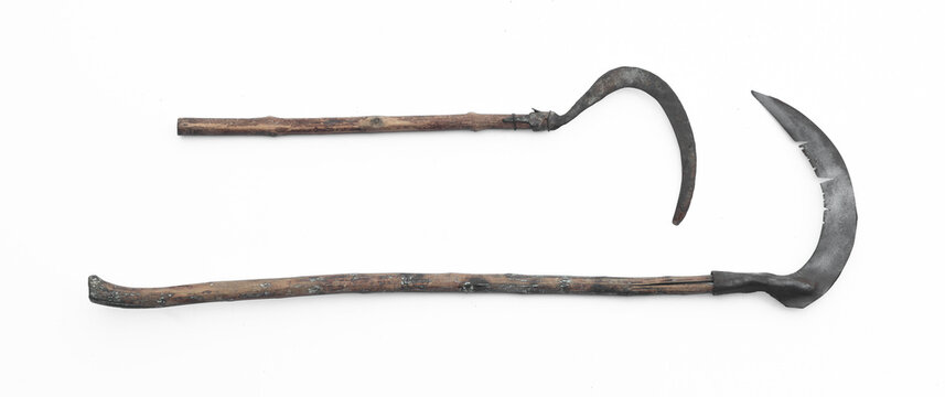 Sense Bilder – Durchsuchen 117,768 Archivfotos, Vektorgrafiken und ...