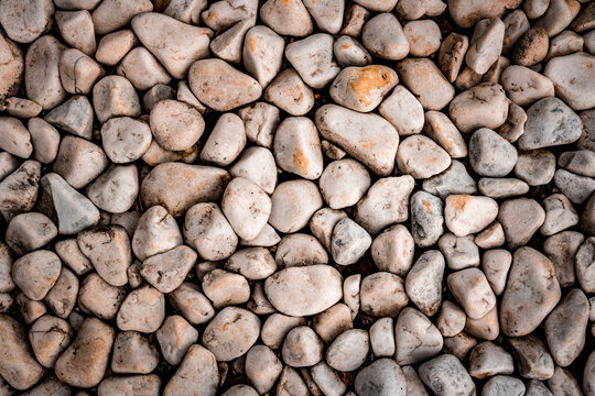 รูปภาพCaillasse – เลือกดูภาพถ่ายสต็อก เวกเตอร์ และวิดีโอ1,651 | Adobe Stock