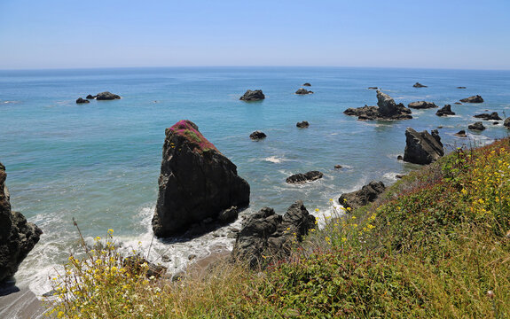 Gleason Images – Browse 55 Stock Photos, Vectors, and Video | Adobe Stock