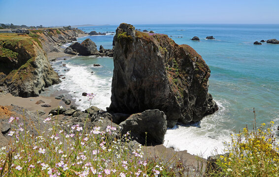 Gleason Images – Browse 55 Stock Photos, Vectors, and Video | Adobe Stock