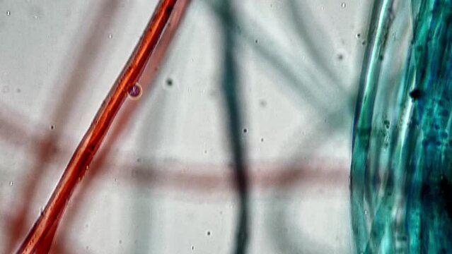 Microscope Fiber Images – Browse 4,706 Stock Photos, Vectors, and Video ...