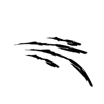 Afbeeldingen over "Claw Marks" – Blader in stockfoto's, vectoren en ...