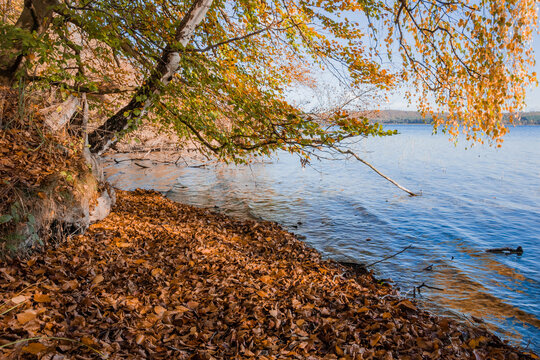 Tollense Images – Browse 53 Stock Photos, Vectors, and Video | Adobe Stock