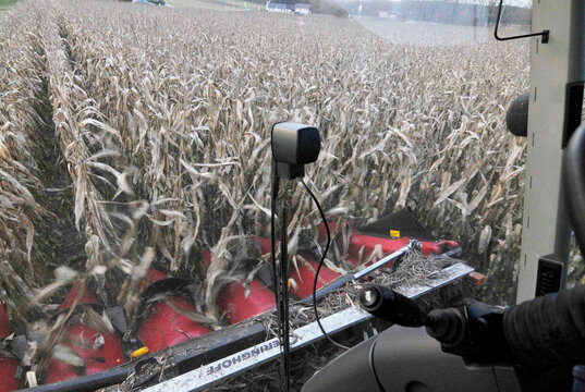 "Genetically Modified Corn" Images – Browse 957 Stock Photos, Vectors ...