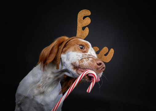 Bernhard photos, images, assets | Adobe Stock