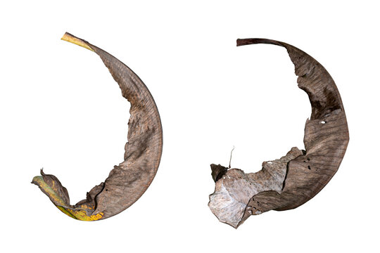 Munchies Images – Browse 5,560 Stock Photos, Vectors, and Video | Adobe ...