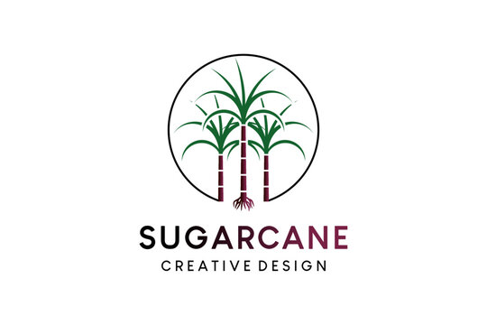Cane Logo Images – Browse 18,891 Stock Photos, Vectors, and Video ...