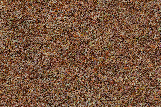 "Tobacco Texture" Images – Browse 100 Stock Photos, Vectors, and Video ...