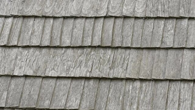 รูปภาพShingel – เลือกดูภาพถ่ายสต็อก เวกเตอร์ และวิดีโอ36 | Adobe Stock