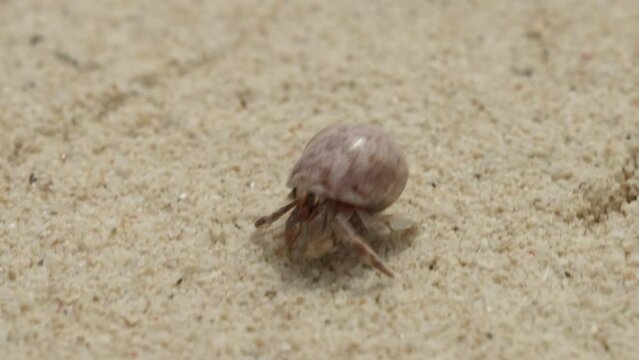 Feeler Imagens – Procure 12,425 fotos, vetores e vídeos | Adobe Stock