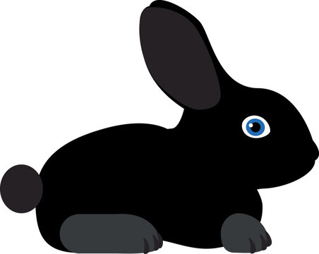 "Black Bunny" Images – Browse 212 Stock Photos, Vectors, and Video ...