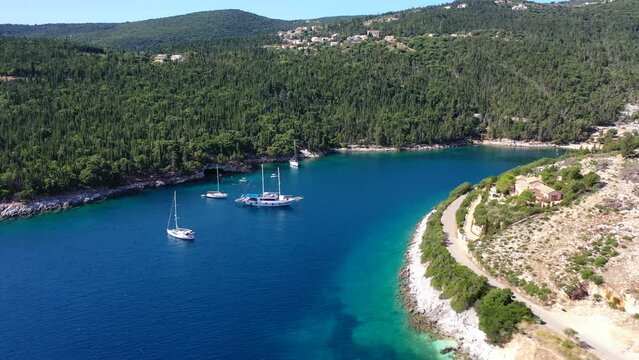 Foki Billeder – Gennemse 233 stockfotos, vektorer og videoer | Adobe Stock