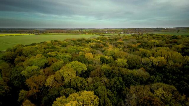 Forestation Images – Browse 14,609 Stock Photos, Vectors, and Video ...