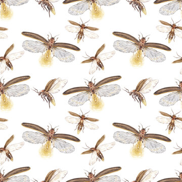 Firefly White Background Images – Browse 3,291 Stock Photos, Vectors ...