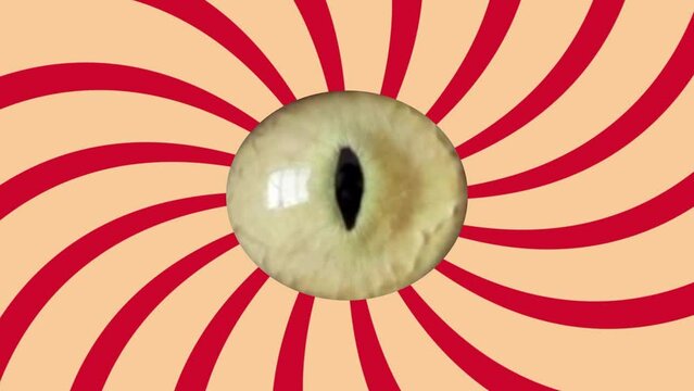 Hypnotic Eyes Spiral