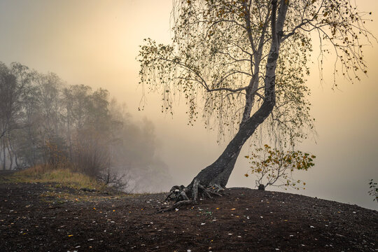 Alignment Nature Bilder – Durchsuchen 40,890 Archivfotos ...