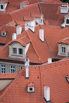 Imágenes de Dachy: descubre bancos de fotos, ilustraciones, vectores y ...