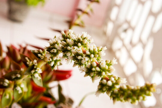 รูปภาพAuttum – เลือกดูภาพถ่ายสต็อก เวกเตอร์ และวิดีโอ151 | Adobe Stock