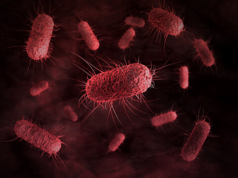 รูปภาพFlagellates – เลือกดูภาพถ่ายสต็อก เวกเตอร์ และวิดีโอ844 | Adobe Stock