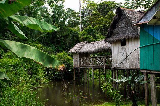 "Amazon River" Images – Browse 4,974 Stock Photos, Vectors, and Video ...