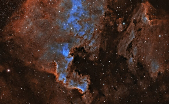 Ngc Bilder – Durchsuchen 1,092 Archivfotos, Vektorgrafiken und Videos ...