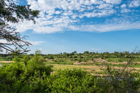 Bushveld Images – Browse 10,982 Stock Photos, Vectors, and Video ...
