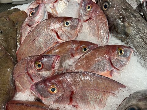 Pageot Images – Browse 87 Stock Photos, Vectors, and Video | Adobe Stock