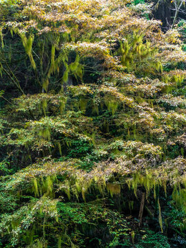 Dinusha photos, images, assets | Adobe Stock