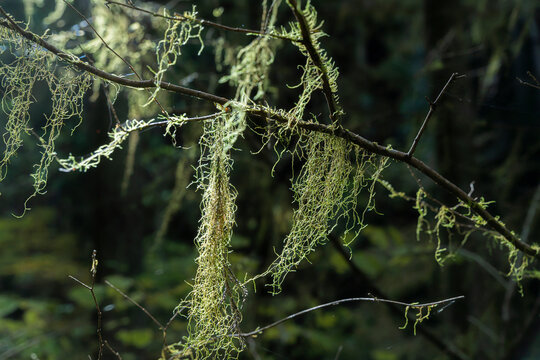 Dinusha photos, images, assets | Adobe Stock