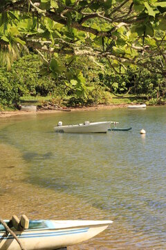 Echouer Images – Browse 43 Stock Photos, Vectors, and Video | Adobe Stock