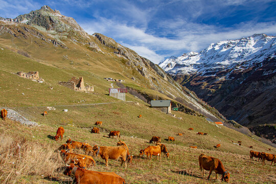 Tarines Bilder – Durchsuchen 76 Archivfotos, Vektorgrafiken und Videos ...