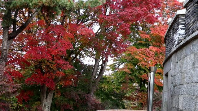 Introitus Images – Browse 567 Stock Photos, Vectors, and Video | Adobe ...