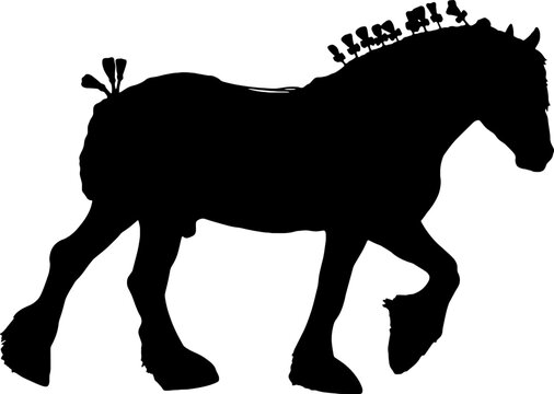 รูปภาพ"Shire Horse" – เลือกดูภาพถ่ายสต็อก เวกเตอร์ และวิดีโอ6,301 ...