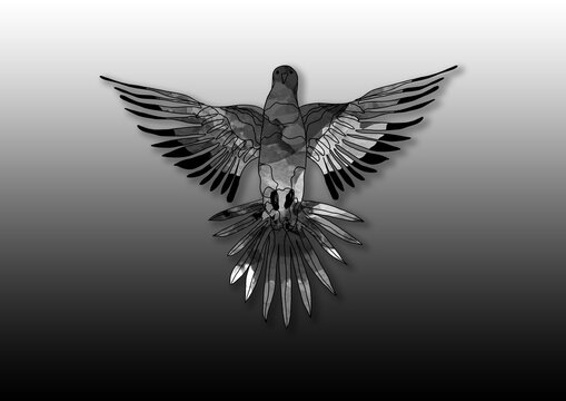 Abstract Flying Bird Drawing