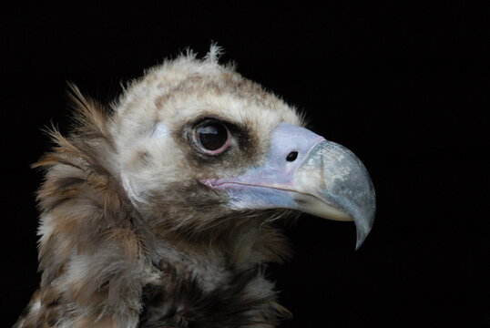 รูปภาพTorgos – เลือกดูภาพถ่ายสต็อก เวกเตอร์ และวิดีโอ603 | Adobe Stock