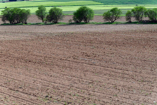 Labra Images – Parcourir 1,132 le catalogue de photos, vecteurs et ...