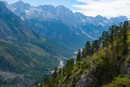 รูปภาพValbone – เลือกดูภาพถ่ายสต็อก เวกเตอร์ และวิดีโอ1,131 | Adobe Stock