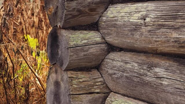 "Log Wall" Images – Browse 340 Stock Photos, Vectors, and Video | Adobe ...