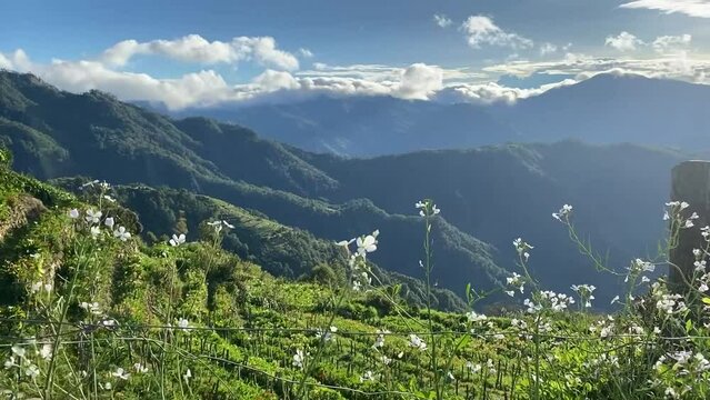 「Atok」の写真素材 | 37件の無料イラスト画像 | Adobe Stock