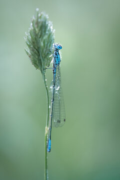 Variabele Images – Browse 3 Stock Photos, Vectors, and Video | Adobe Stock