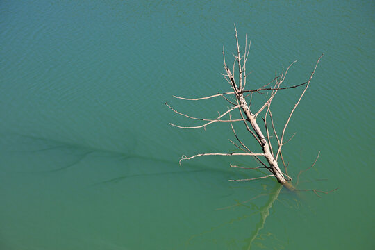 รูปภาพMicrocomedones – เลือกดูภาพถ่ายสต็อก เวกเตอร์ และวิดีโอ27,643 ...