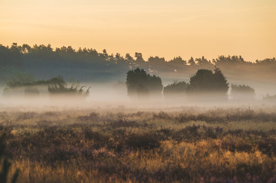 Nebelig bilder – Bläddra bland 13,418 stockfoton, vektorer och videor ...
