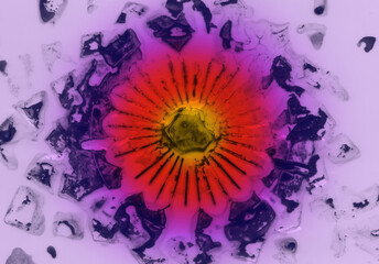 20+ Free print textures pictures - Pikwizard