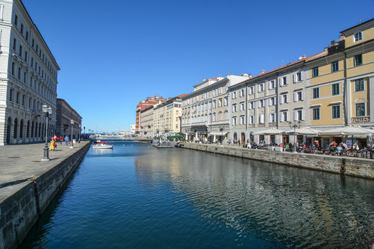 Lionees Images – Browse 529 Stock Photos, Vectors, and Video | Adobe Stock