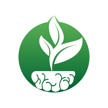 HaSnI photos, images, assets | Adobe Stock