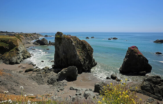 Gleason Images – Browse 55 Stock Photos, Vectors, and Video | Adobe Stock