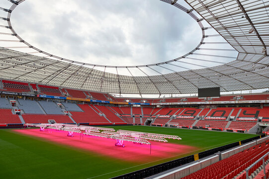 รูปภาพBayarena – เลือกดูภาพถ่ายสต็อก เวกเตอร์ และวิดีโอ224 | Adobe Stock