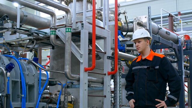 Inexperienced Images – Browse 18,275 Stock Photos, Vectors, and Video ...