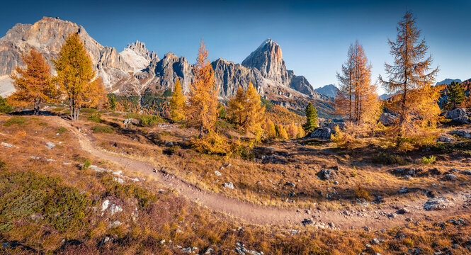 «Andrew Mayovskyy» — фотографии, изображения, ресурсы | Adobe Stock